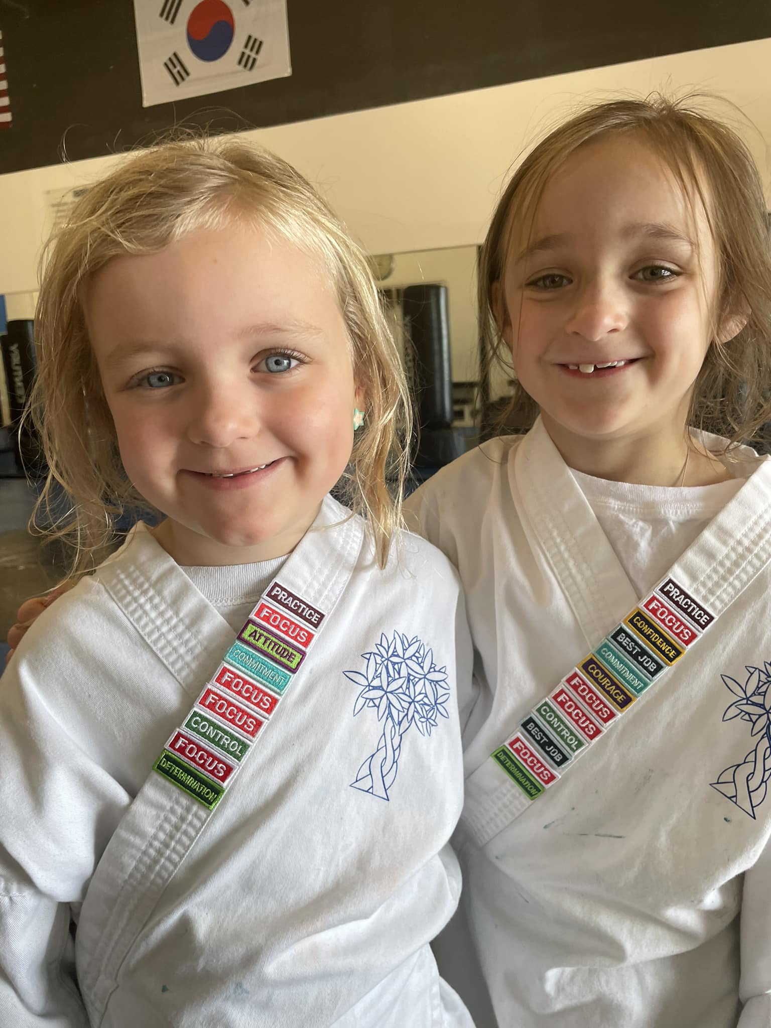 100+ TKD Classes! LOOK at all those badges! – Radical Dadding